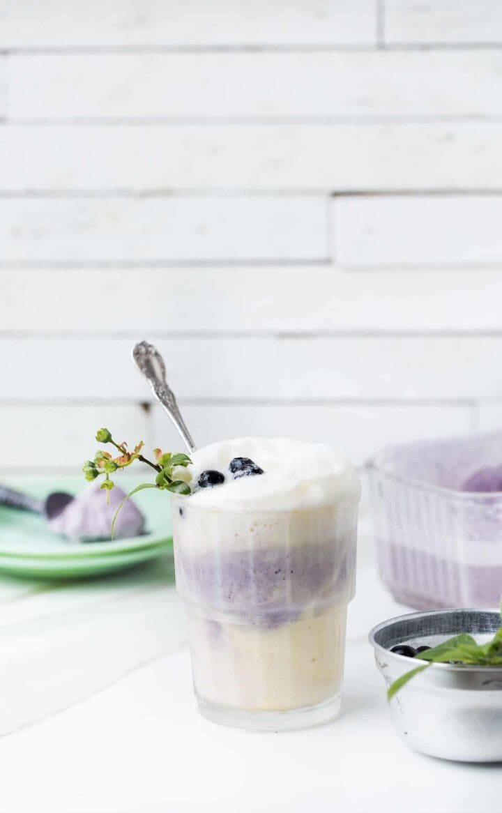 Boozy Tropical Gelato Float - Fresh Flavorful