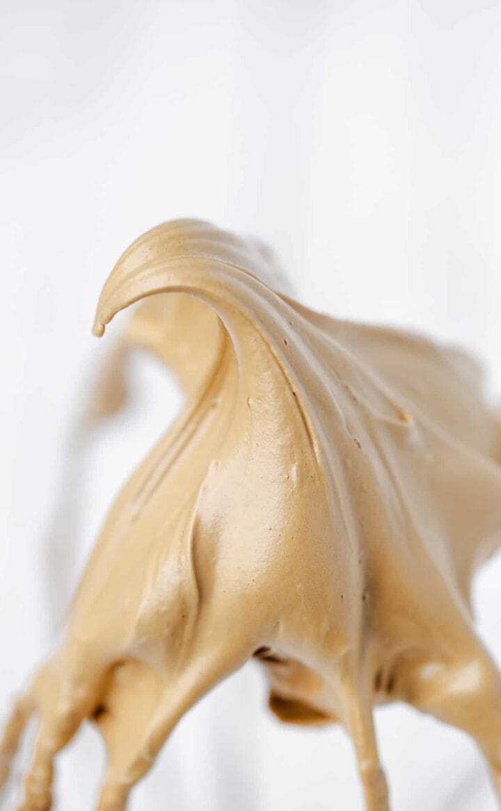 Whipped Coffee Foam Iced Latte - Fresh Flavorful