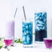 Color Changing Blue Butterfly Pea Tea with Mint - Fresh Flavorful